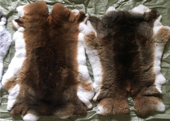 Light Grey Rex Rabbit Fur Neck Warmer , Real Rex Rabbit Pelts Skin For ...